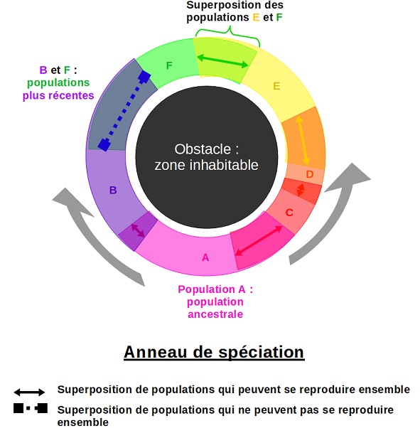 L'évolution visible en direct | Kidi'science