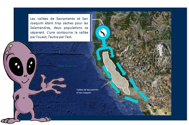 L'évolution visible en direct | Kidi'science