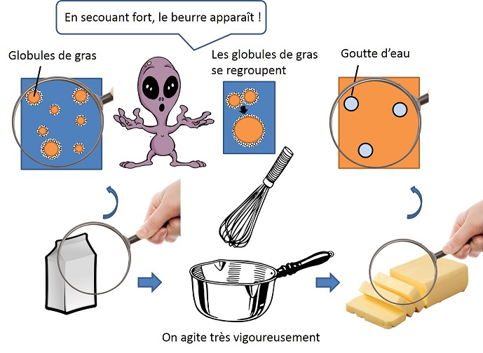 Comment fabrique-t-on le beurre ? | Kidi'science