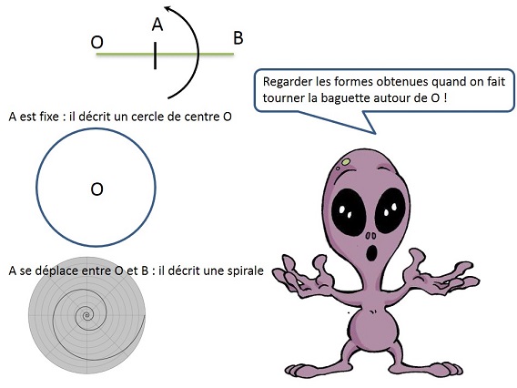 De jolies courbes dans la nature ! | Kidi'science