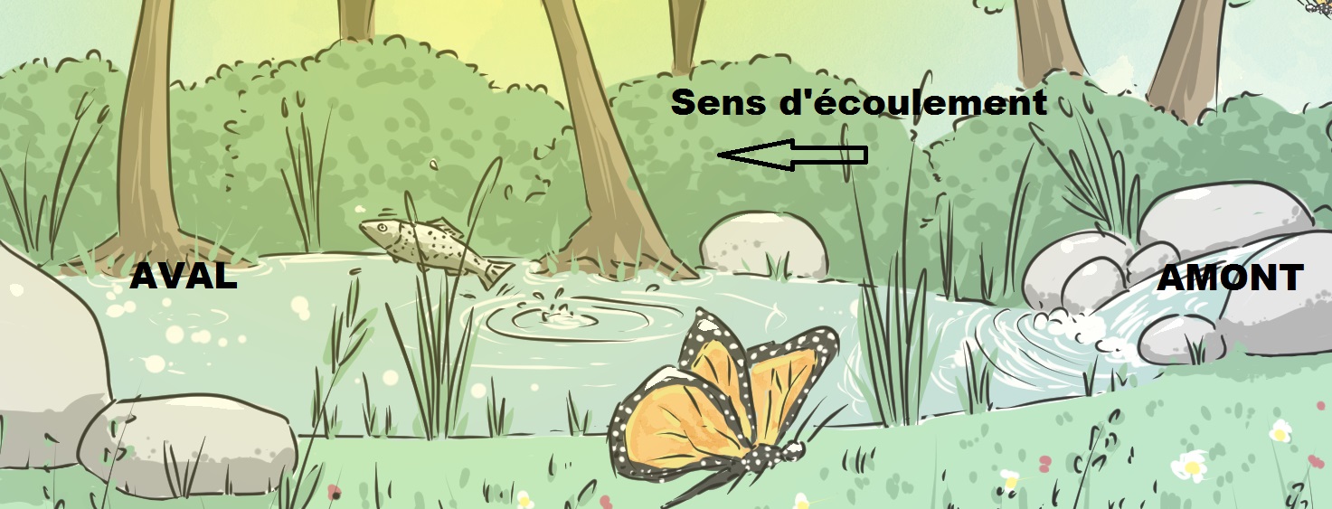 Eté 2021] D’où ça vient une rivière ?